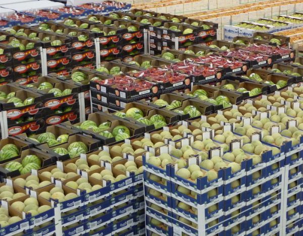 How to Ship Fruit and Vegetables: Useful Tips