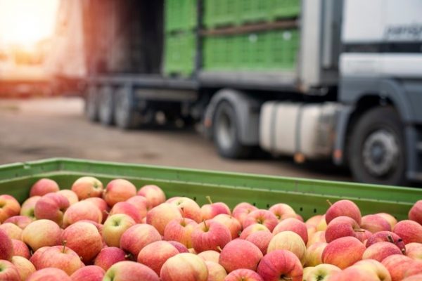 Food Safety During Transportation