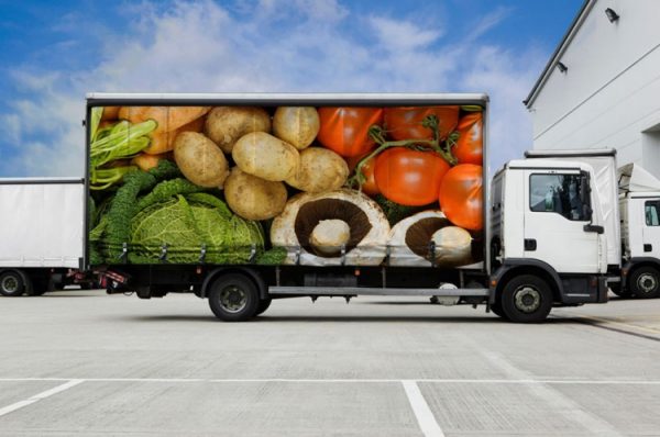 The Rules of Fruit and Vegetables Transportation
